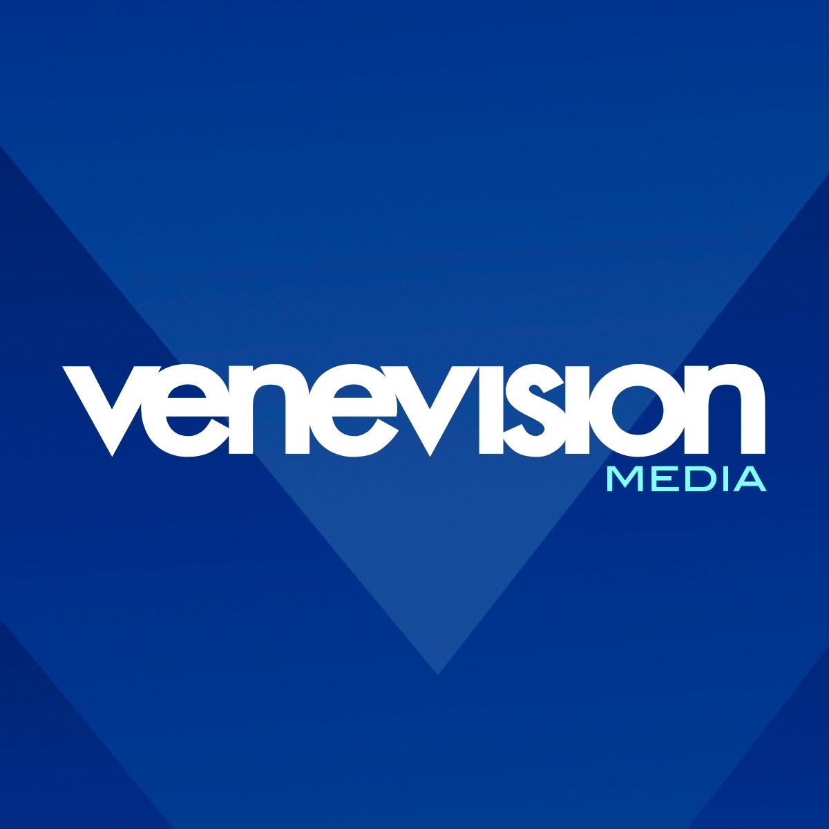 VM | Términos y Condiciones