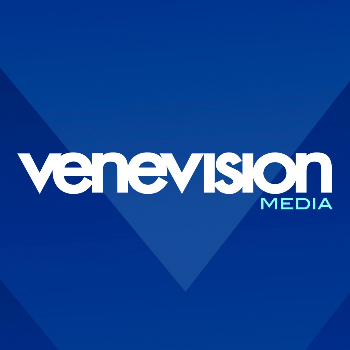 Venevision Media